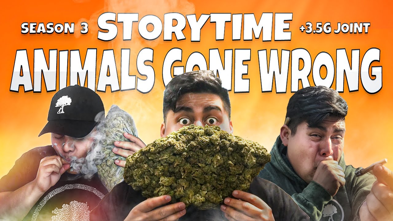 Animals Gone Wrong : STORY TIME - DopeasYola - ISMOKEIT.NET
